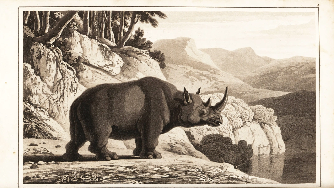 5 extinct animals and their causes