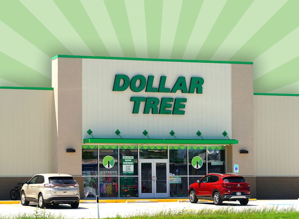 11 best new Dollar Tree decor finds under $5