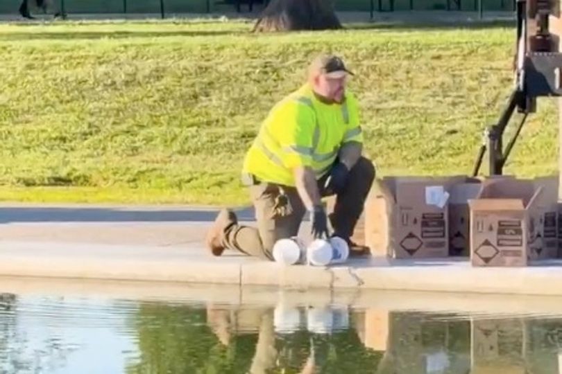 Trump official claims 'algae is dead' after hiring pool guys for ...