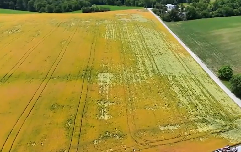 NWS detailed report | EF-1 tornado touched down in the Susquehanna Valley