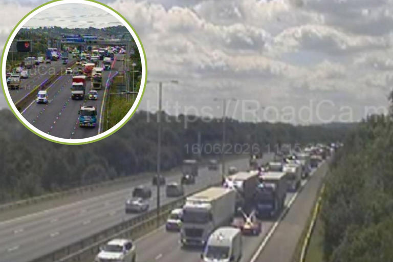 Derbyshire traffic and travel: Update after herd of cows causes M1 delays
