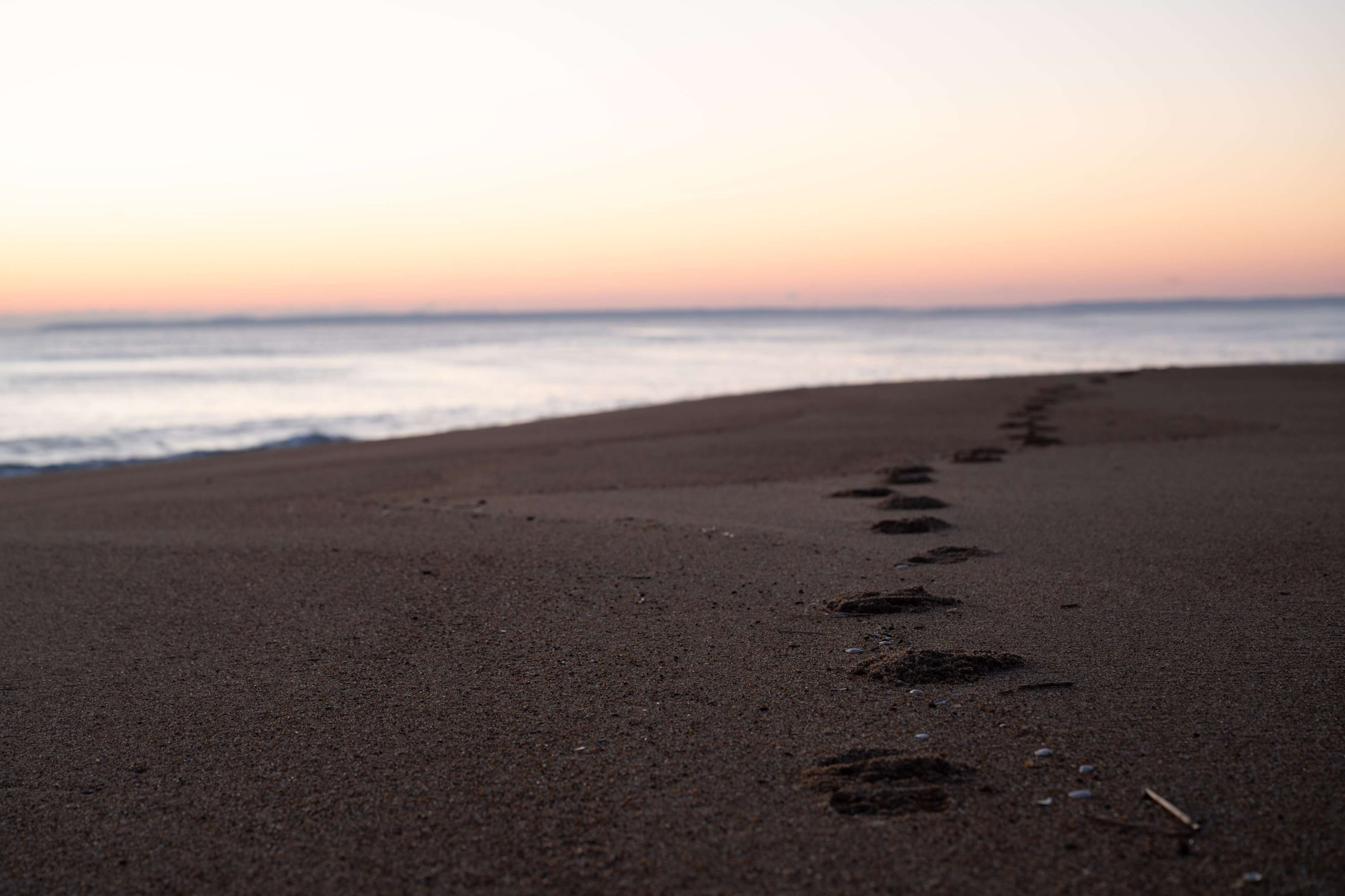 These two popular Cape Cod beaches are closed on Tuesday, June 16