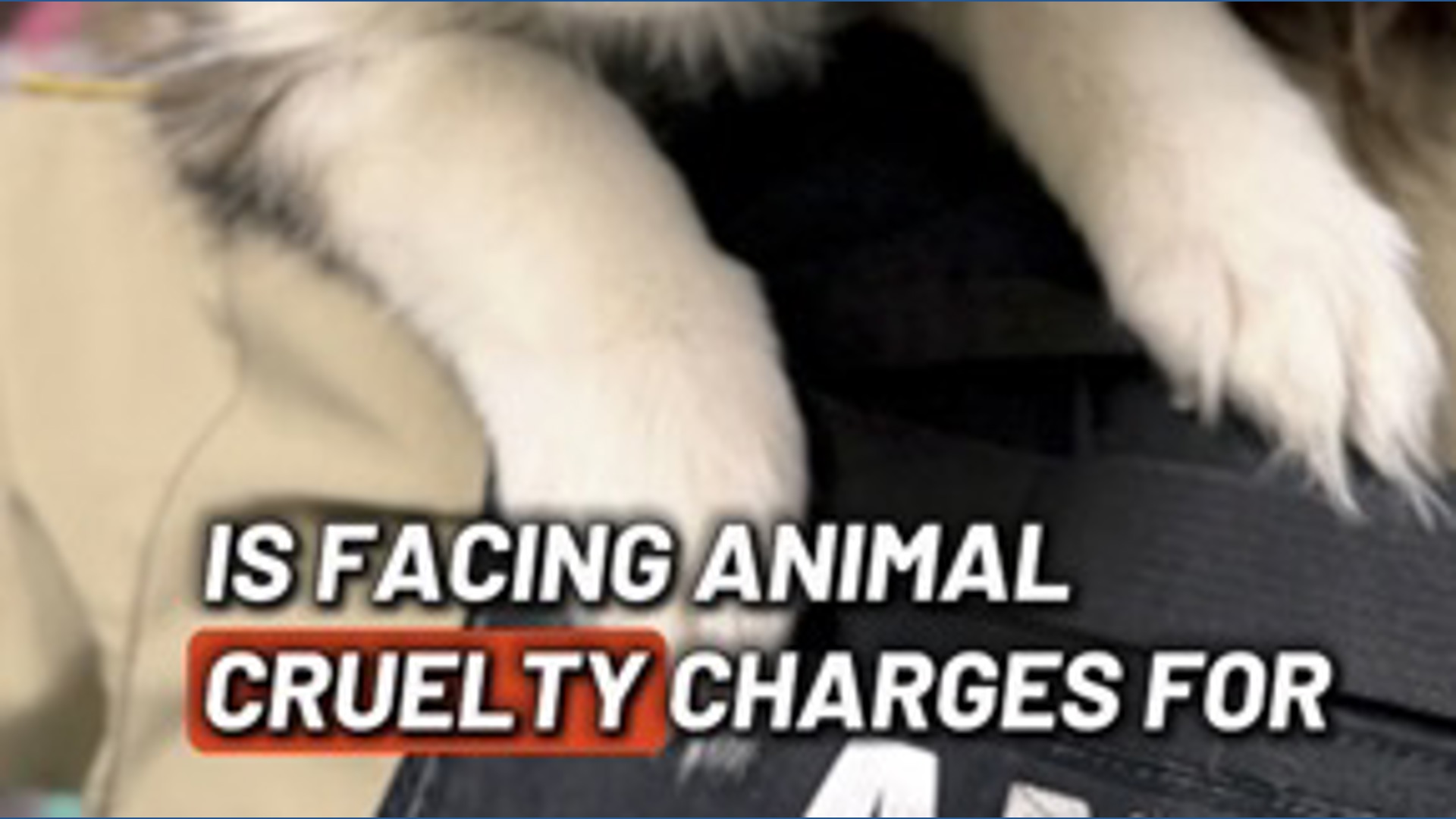 Update: Abused puppy in Spokane Valley not up for adoption yet