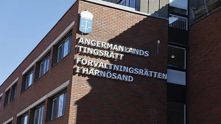 Swedish court imprisons man convicted of pressuring his wife to sell ...