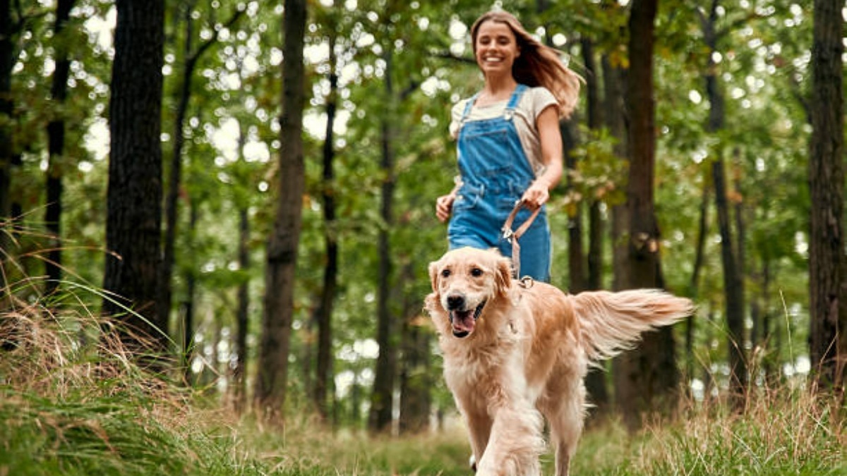 Dogs may be more human than we ever realized, study suggests