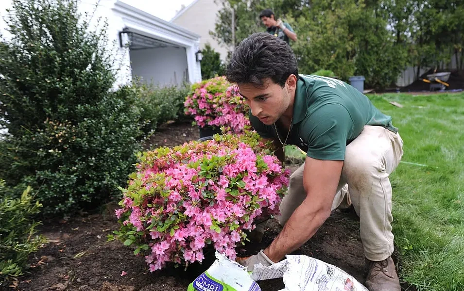 Fall yard care that pays off next spring
