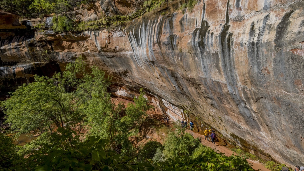 Zion trails, Pacific Northwest escapes, and Google Earth flights debut
