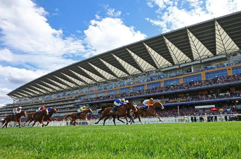 Horse racing - Shock 50-1 winner takes opening race at Royal Ascot