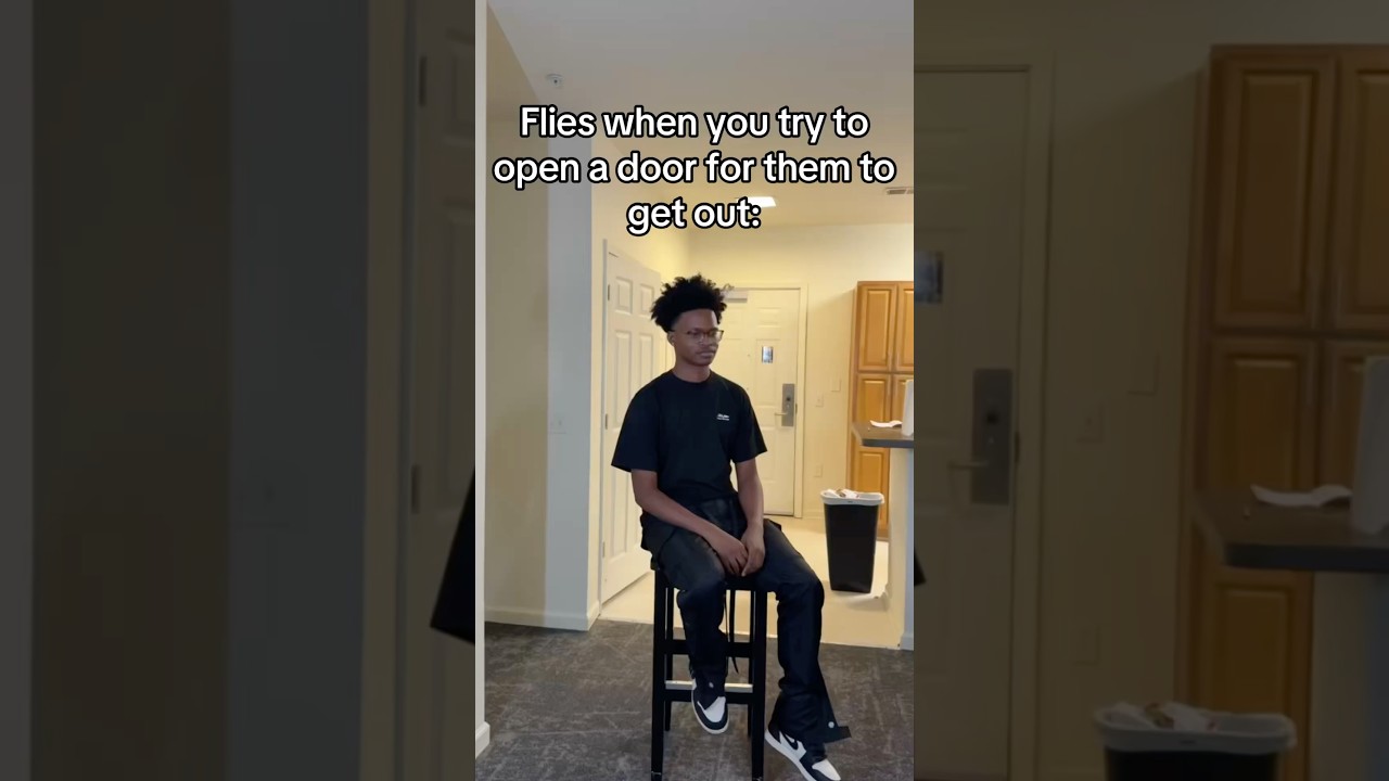 Flies when you try to open a door for them to get out 🤨 Comedy