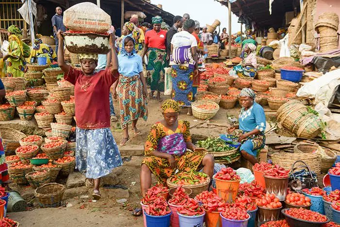 Nigeria calls on researchers and business folks to investigate why its ...