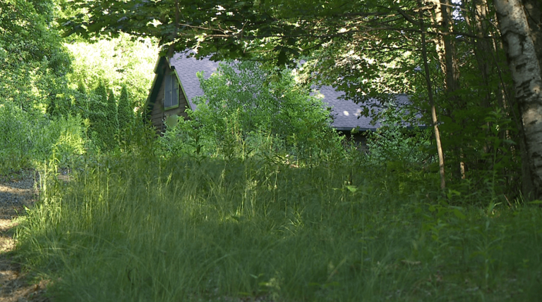 Homebuyer finds skeletal remains of 3 people in Connecticut home