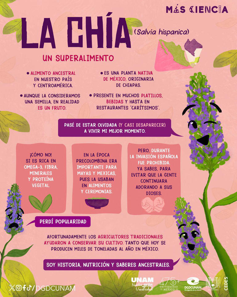 La semilla milagrosa que aporta omega-3, proteína, fibra y minerales ...