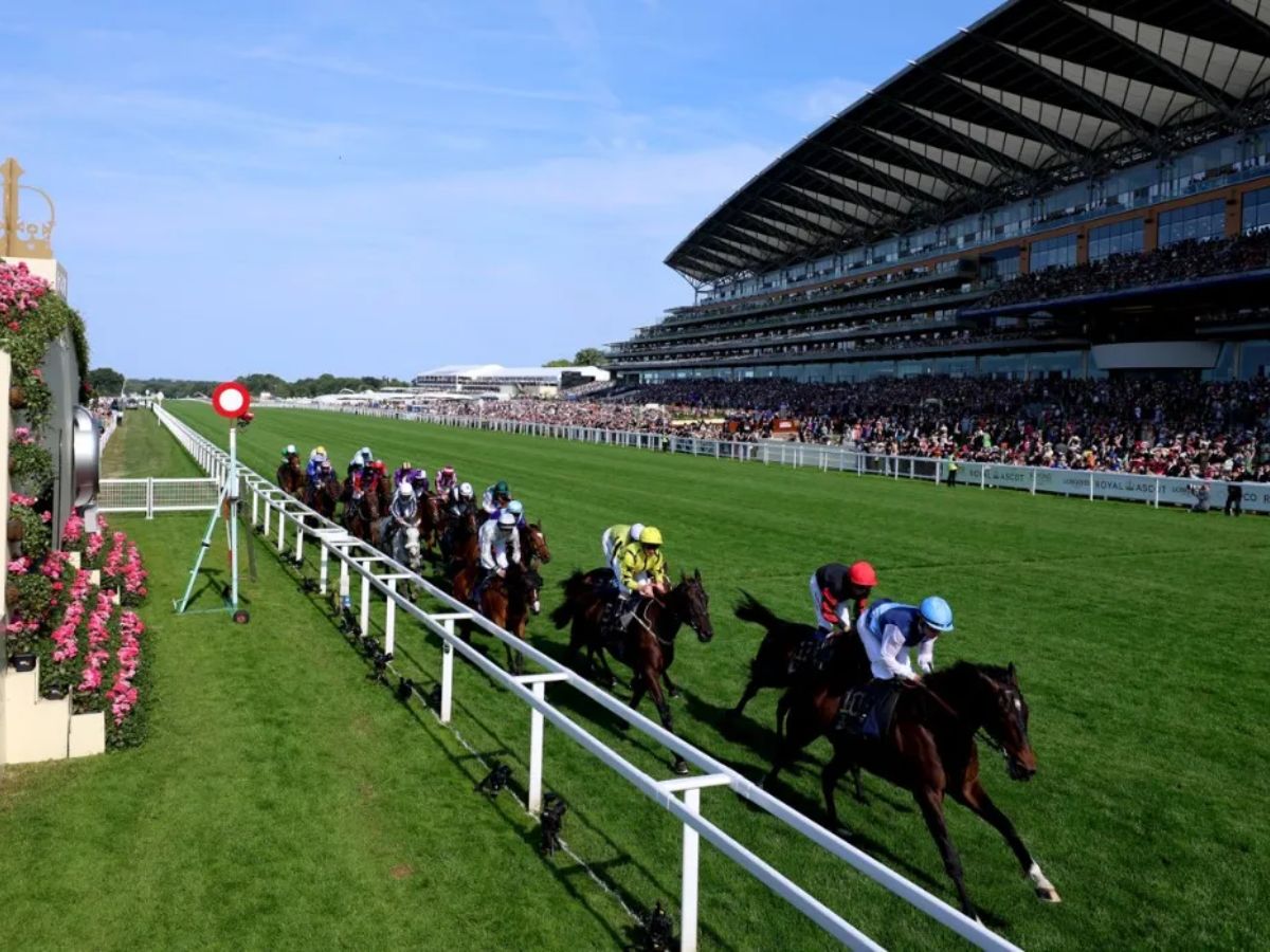 Royal Ascot 2026 live streaming: When and where to watch Royal Ascot ...