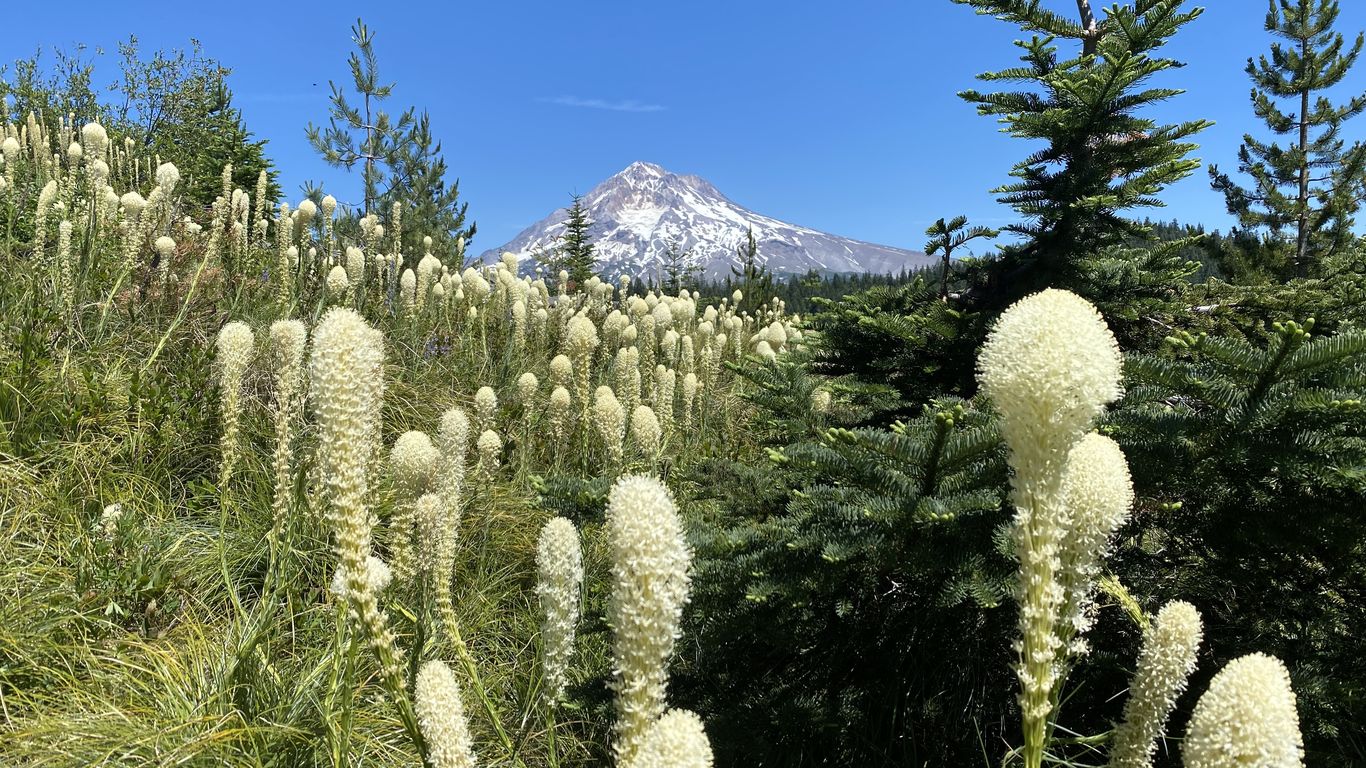 Simple steps to stay safe in the backcountry