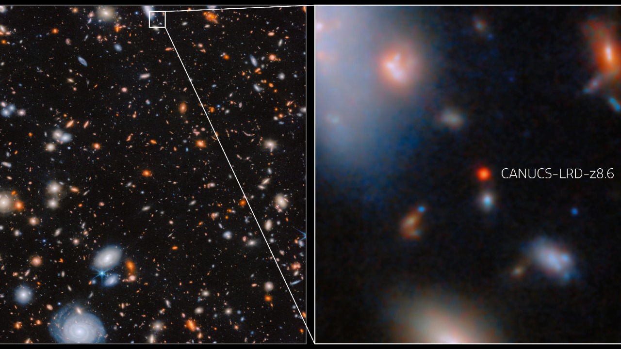 The Webb telescope caught monster stars that may reveal how the first ...