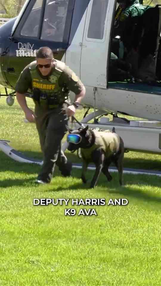 Sheriff and K9 partner share emotional farewell