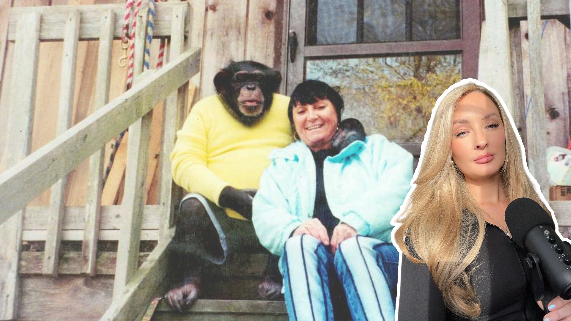 The tragic case of Travis the chimpanzee 💔🐵