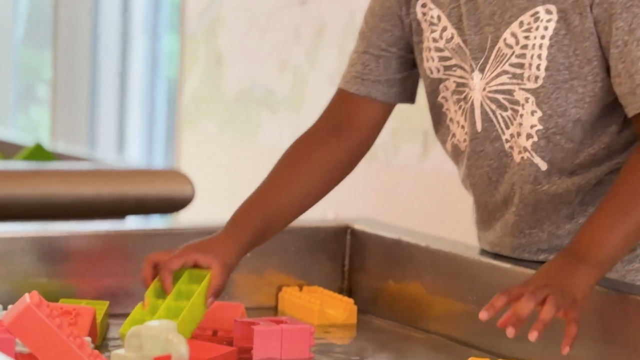 Inside Gwinnett's new sensory treehouse designed for children with ...