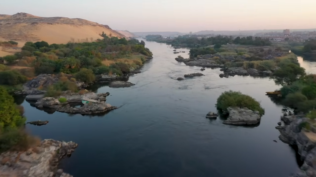 Everything in this river wants to kill you