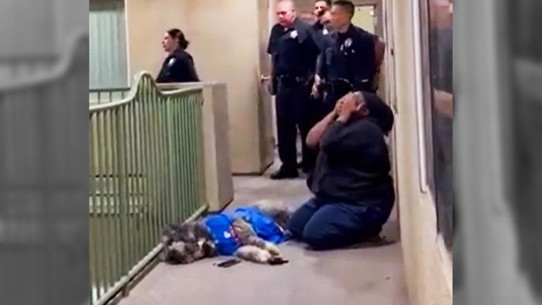 Woman cheering Knicks win mistaken for screaming, dog shot dead by police