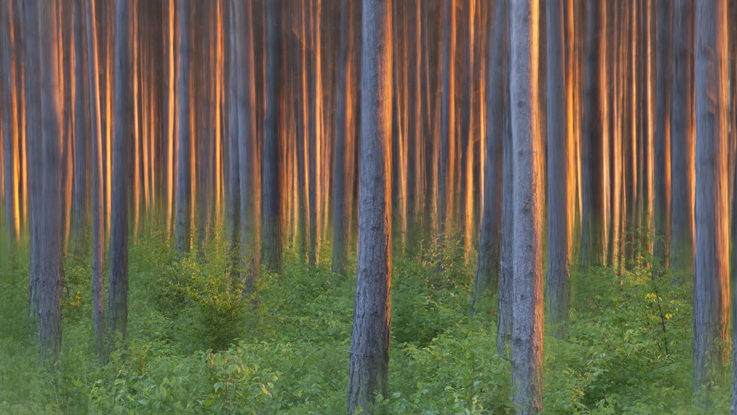 6 scenic trails and natural landmarks in East Texas