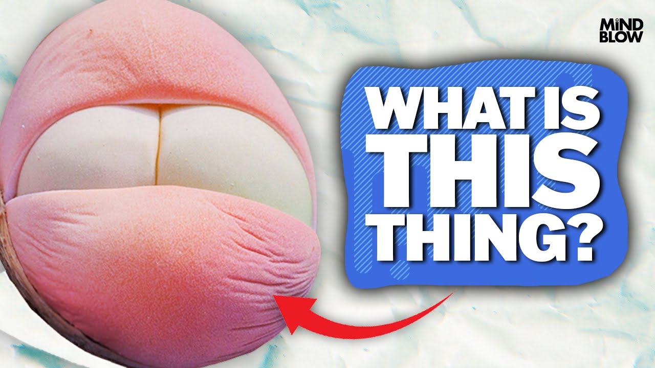 Remarkable baby bum discoveries reveal mind blowing scientific wonders