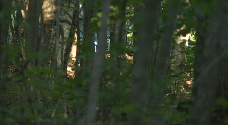 Homebuyer finds skeletal remains of 3 people in Connecticut home