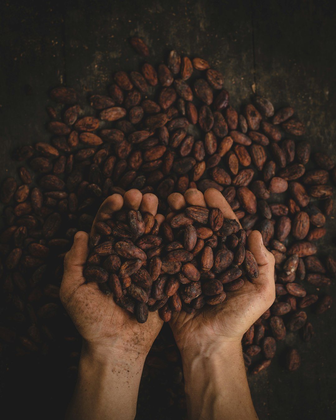 Dark chocolate flavanols escape small intestine digestion to feed large ...