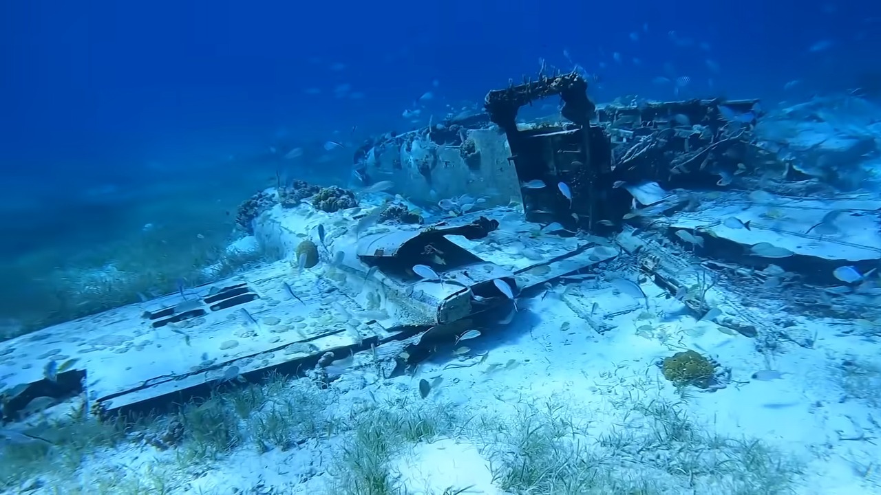 Four planes were sitting underwater, transporting drugs, then divers ...