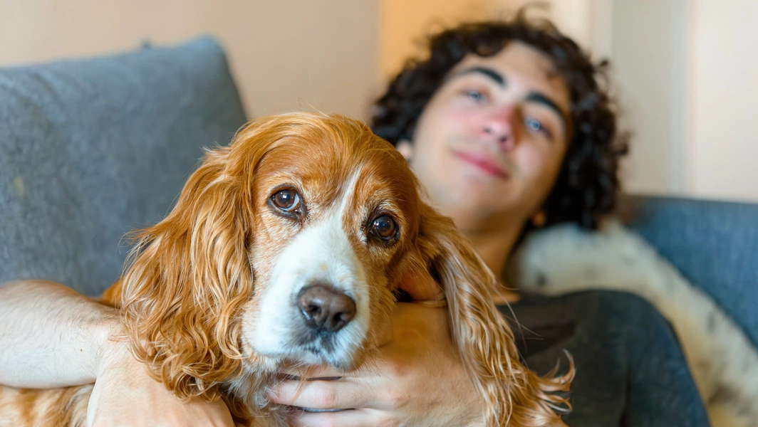 10 affectionate dog breeds that love sleeping close