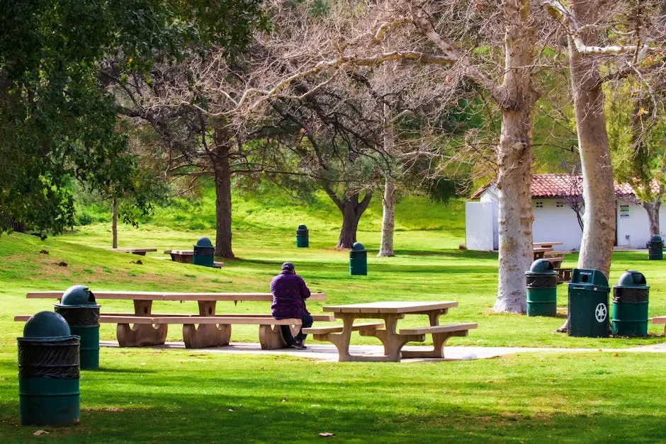 Why experts are calling this small national park the ultimate wildlife ...