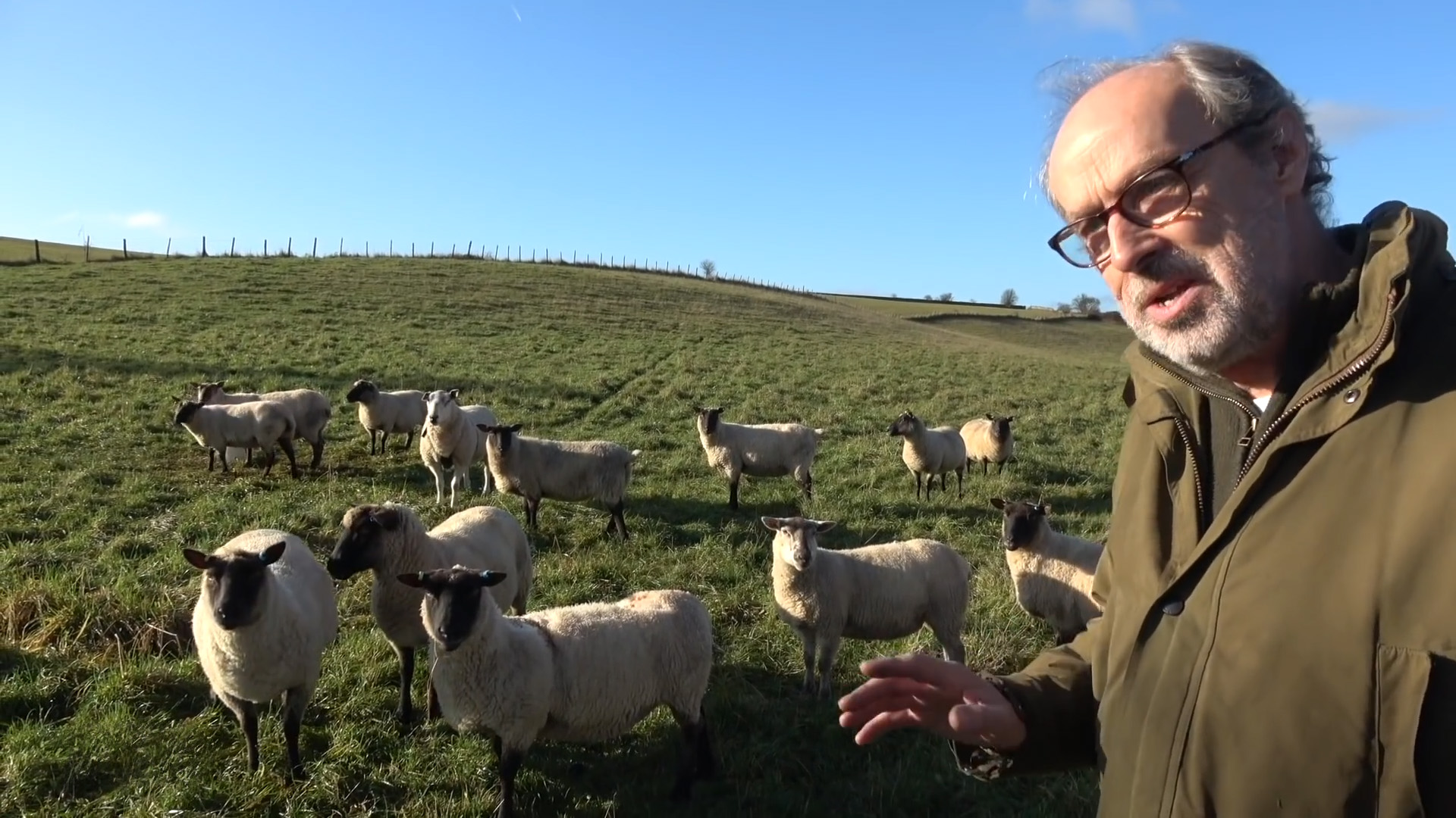 The truth about grass-fed farming and environmental impact
