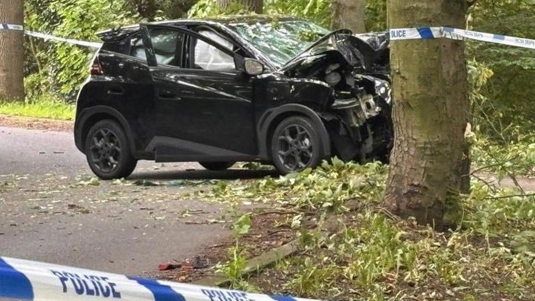 Man held after two seriously injured in tree crash
