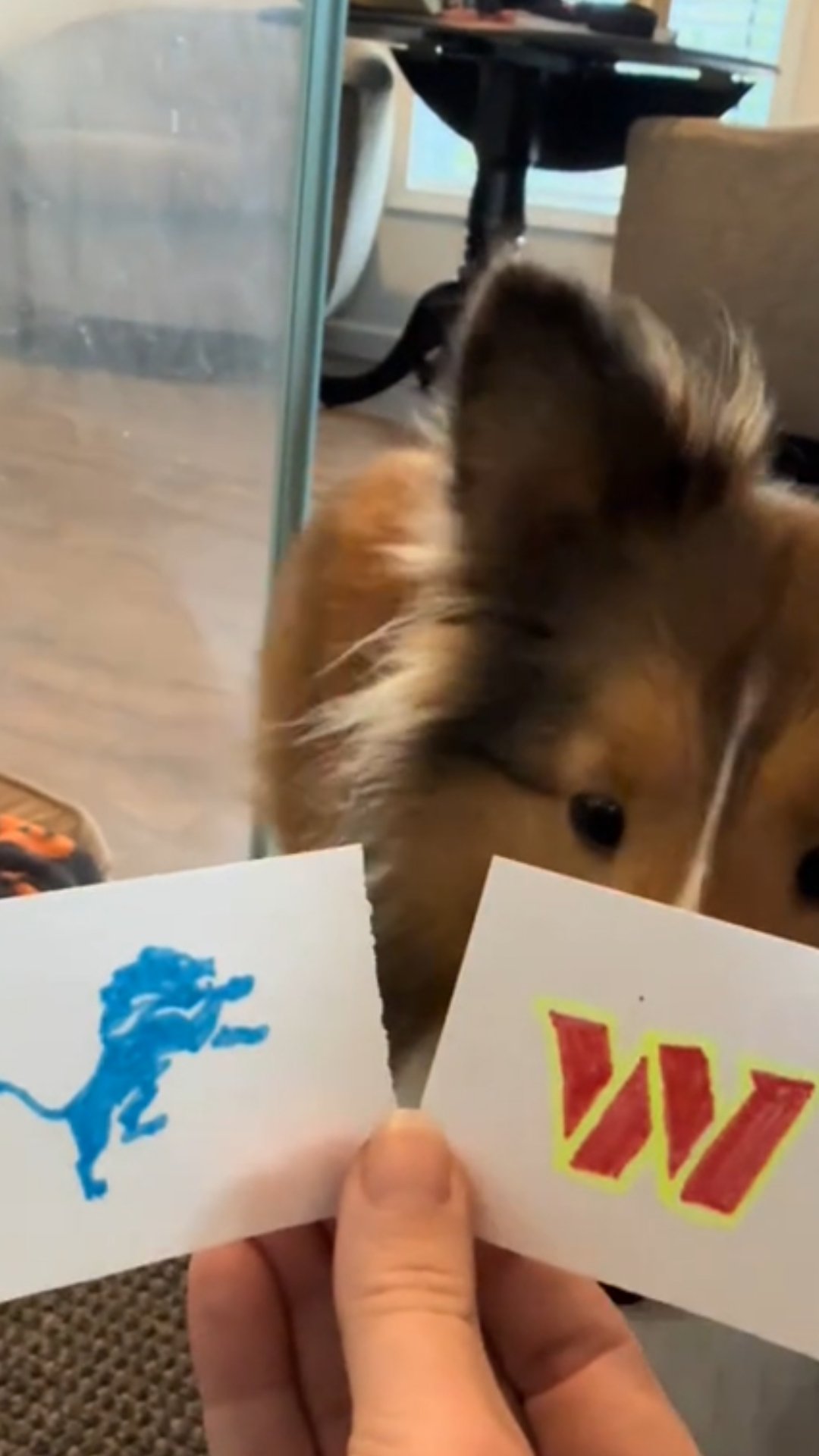 The adorable NFL playoff trend sports fans can’t ignore