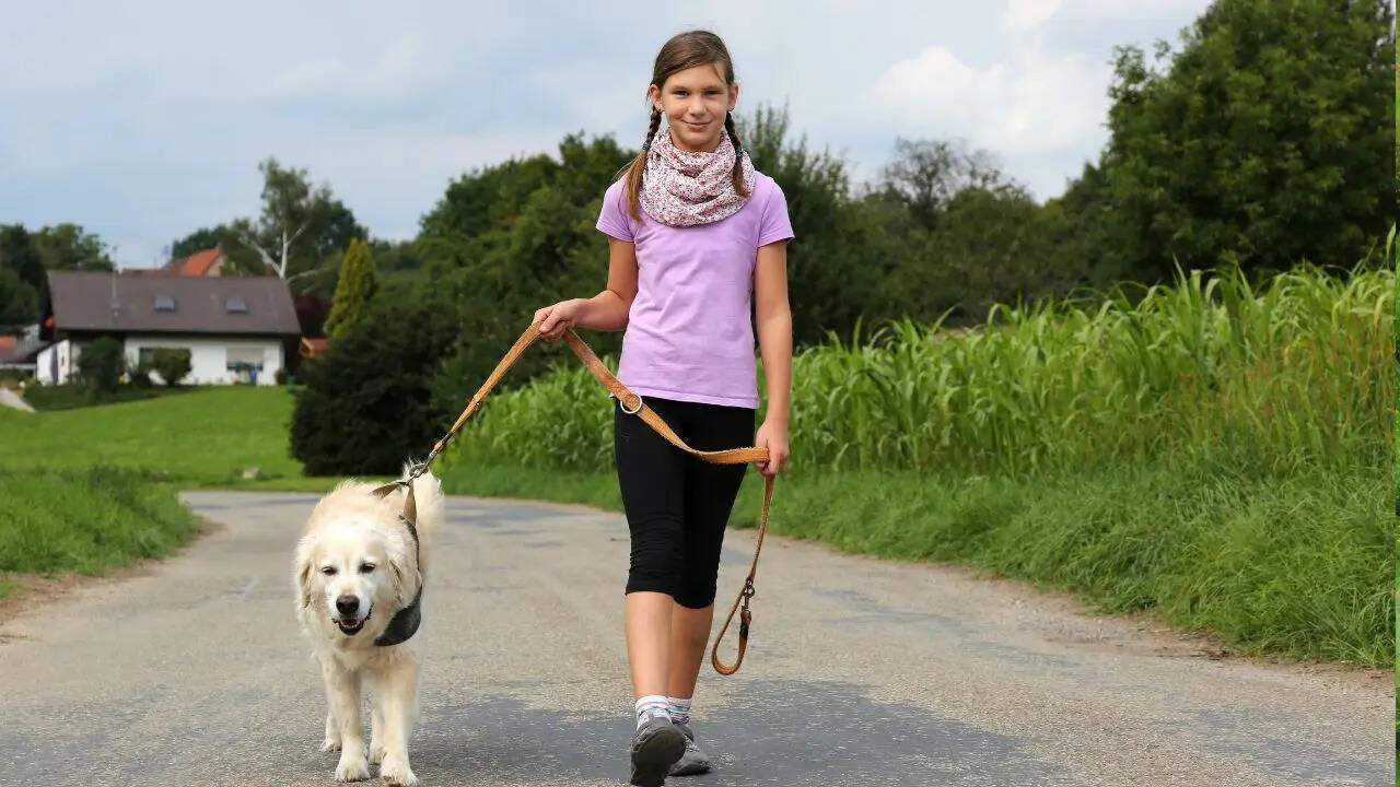 Before you take your pet outside, read this immediately to keep it safe