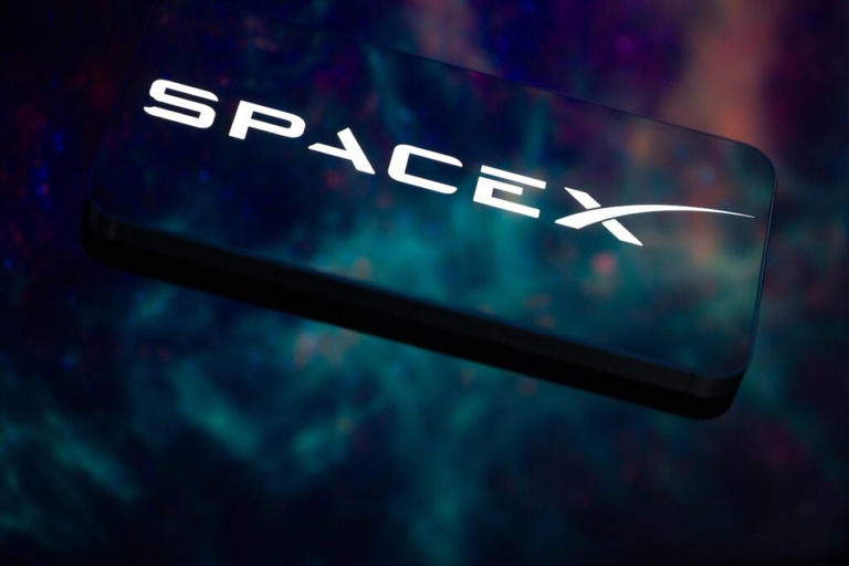 The SpaceX IPO was crypto's biggest test ever: Did it pass?
