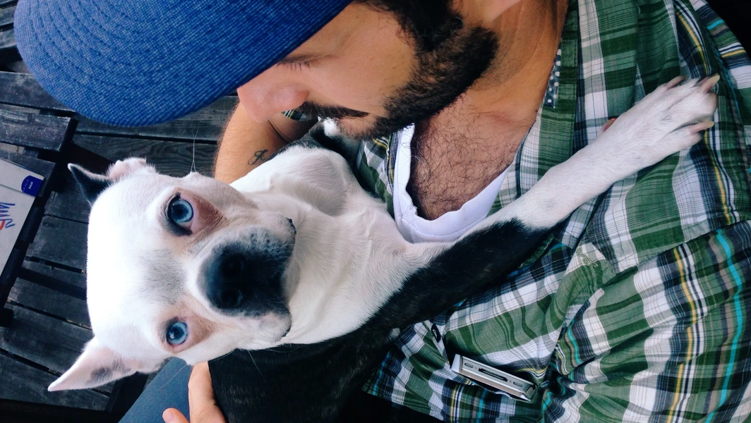 Understanding the meaning behind your dog's gaze