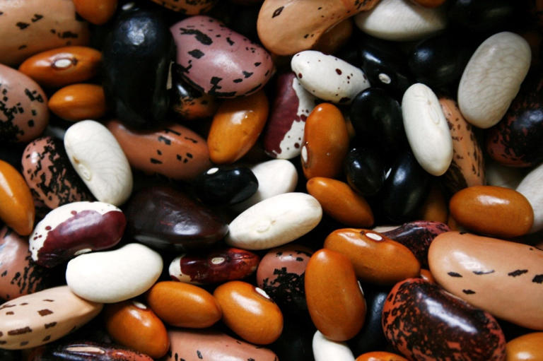Beans, lentils, and tofu may reduce high blood pressure risk