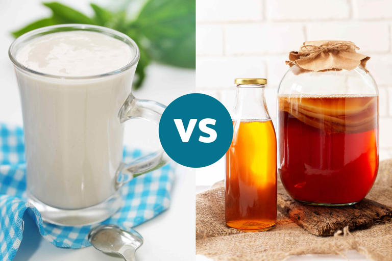 Kefir vs. kombucha: Which is better for gut health, according to a ...