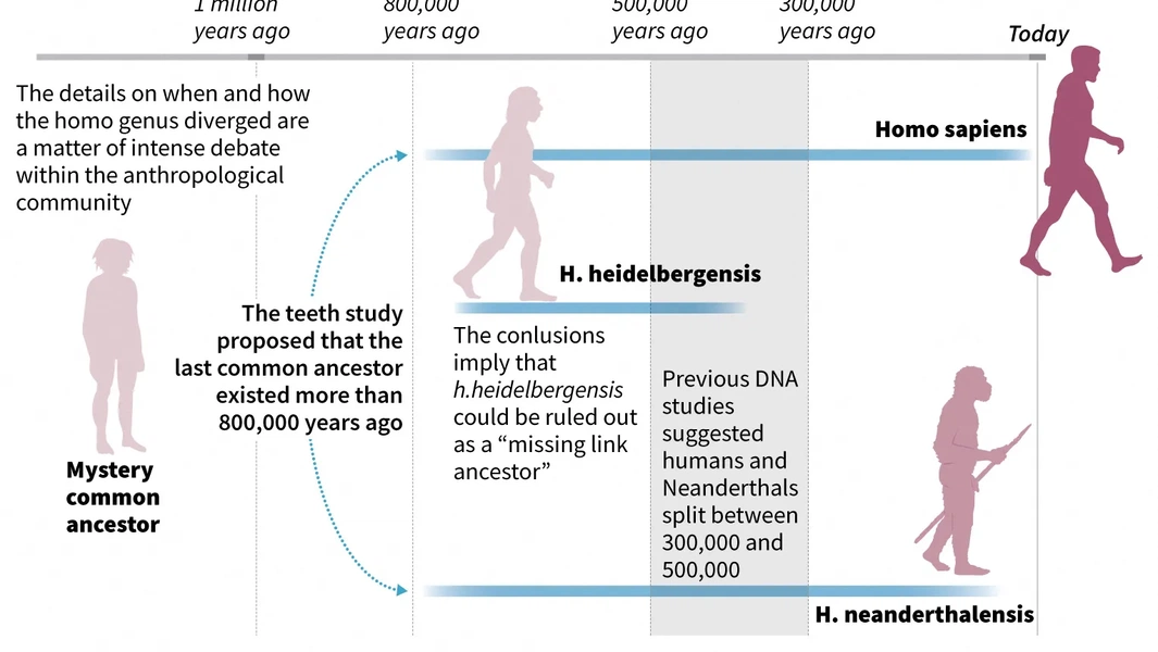 Ancient DNA sequences may reveal deep roots of human language