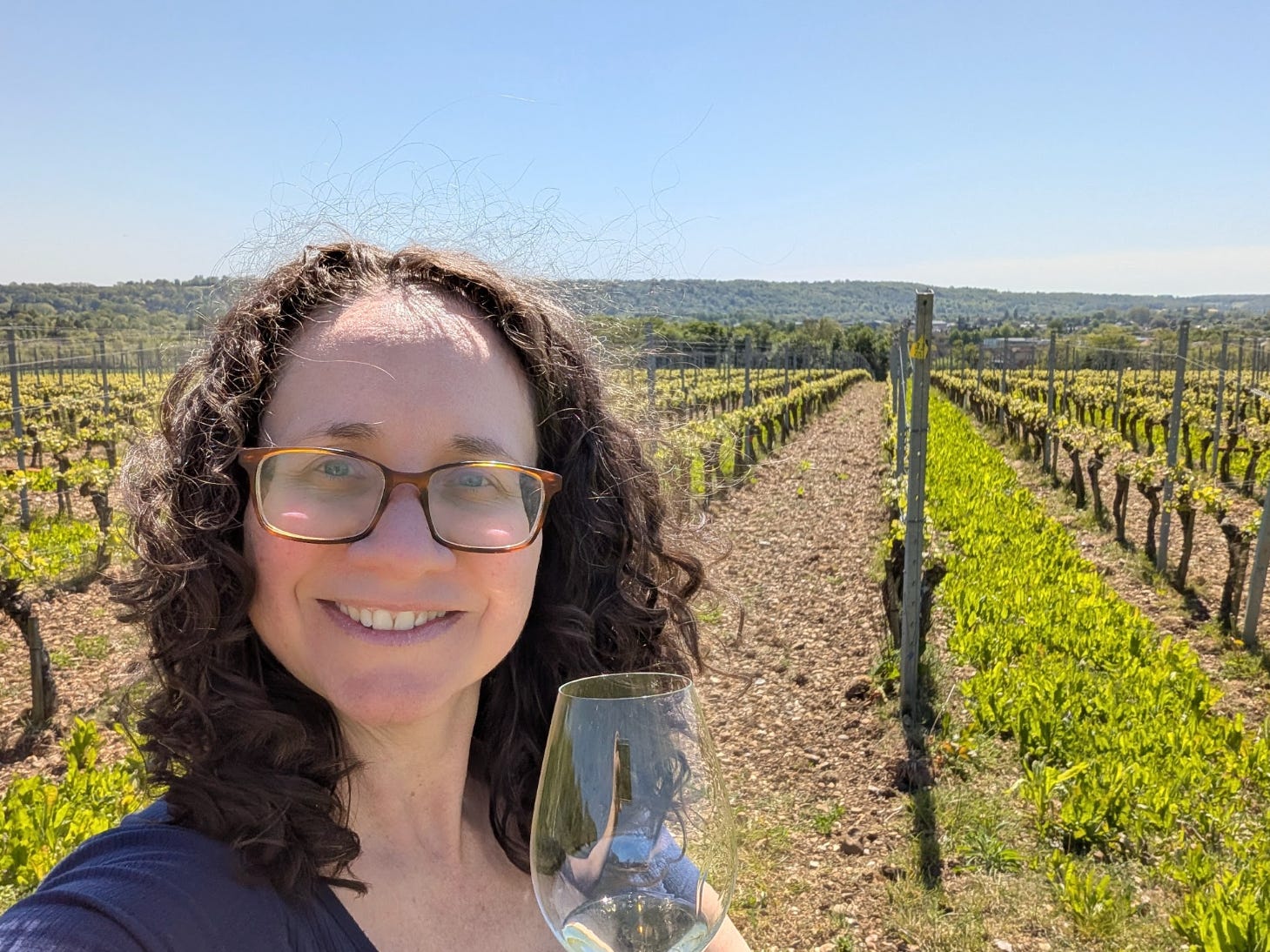 I'm a certified sommelier. These 4 underrated European wine regions ...