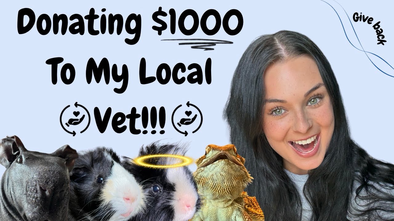 Donating $1000 to my local vet in an emotional moment