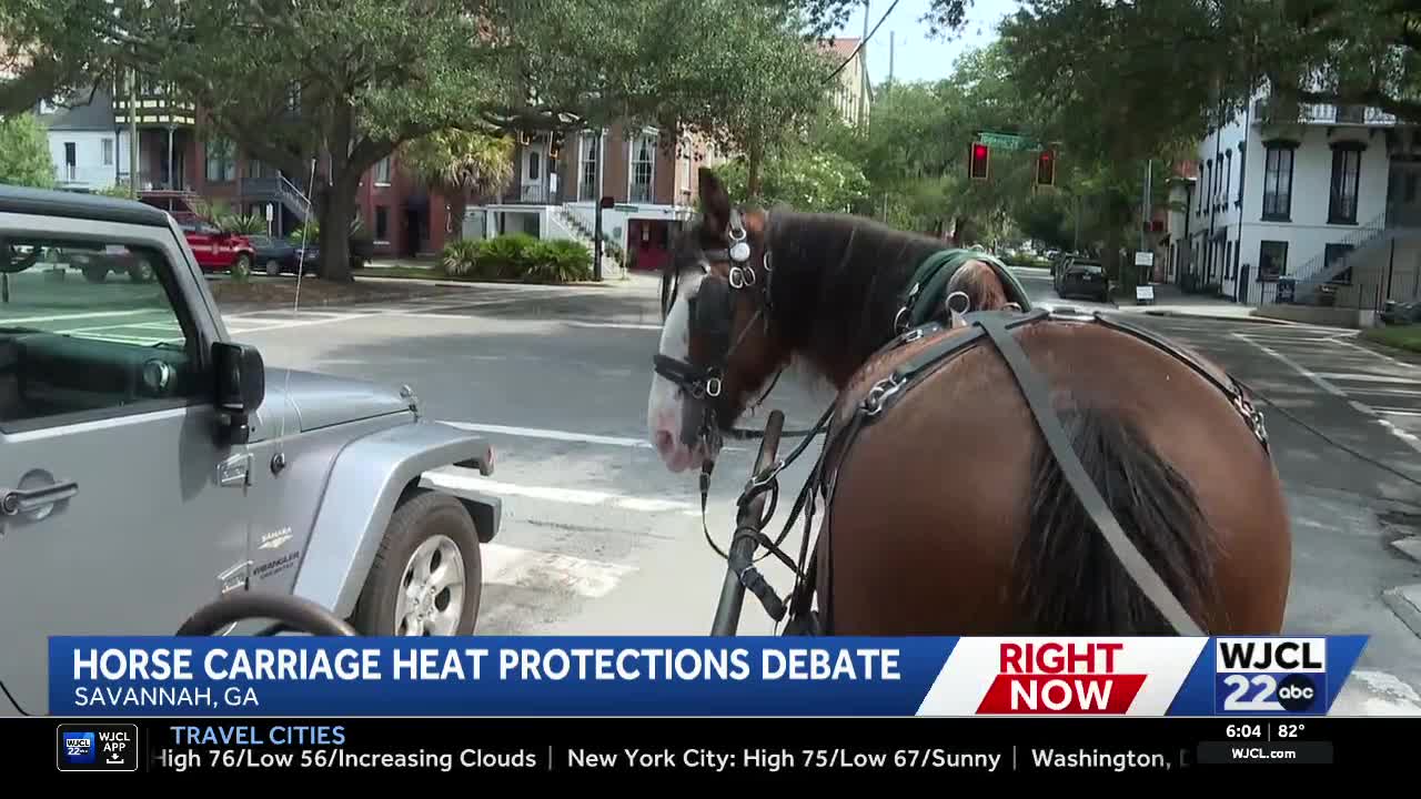 Savannah carriage tours defend horse care as heat debate continues