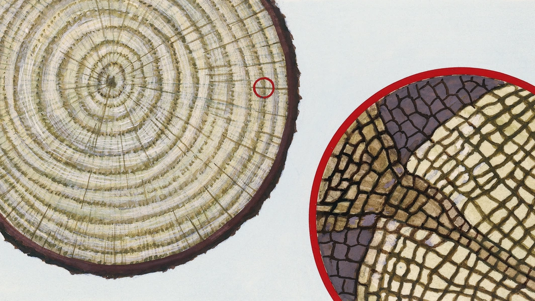 6 unexpected surprises found inside ordinary things