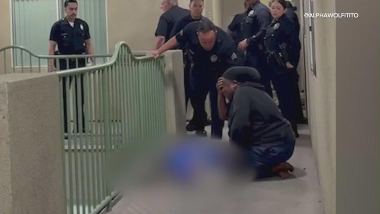 New York Knicks win may have prompted police call that led to fatal ...
