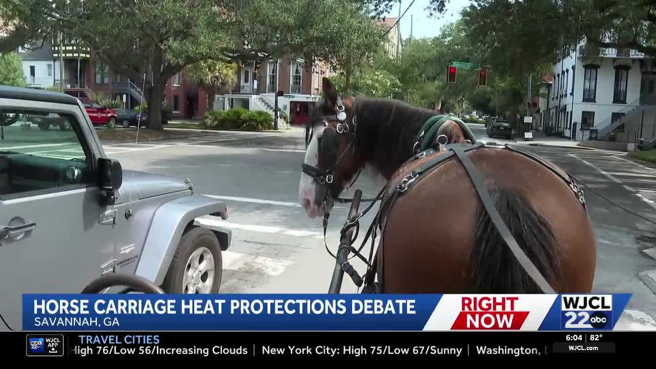 Savannah carriage operators share summer practices