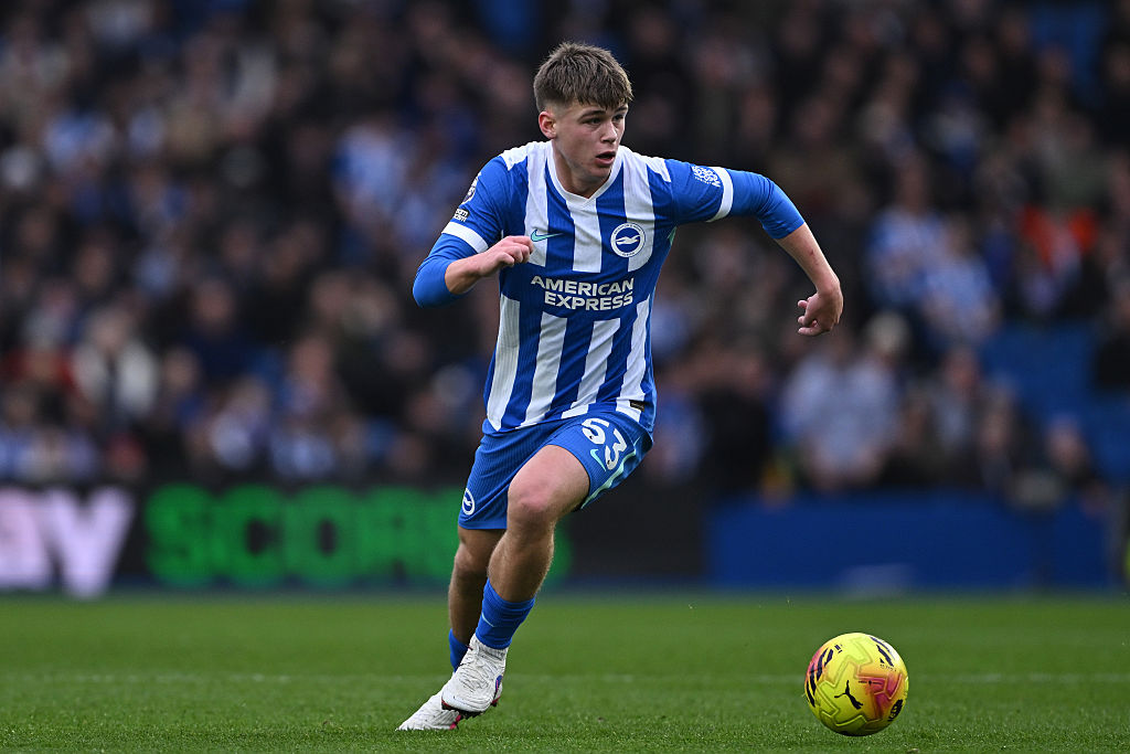 How does Harry Howell fit in at Brighton?
