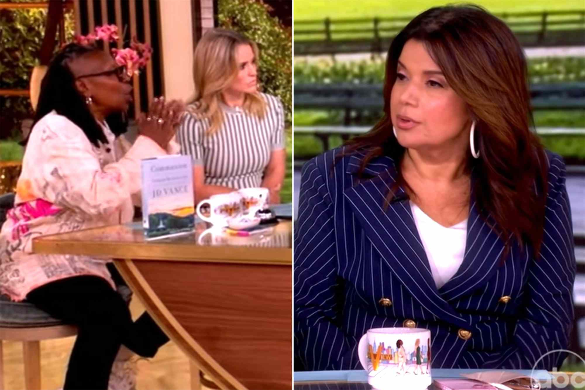 Whoopi Goldberg scolds "The View" cohost Ana Navarro, melts down during ...