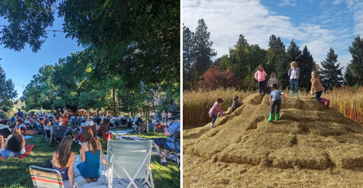 This Oregon farm turns summer nights into magical evenings of music and ...