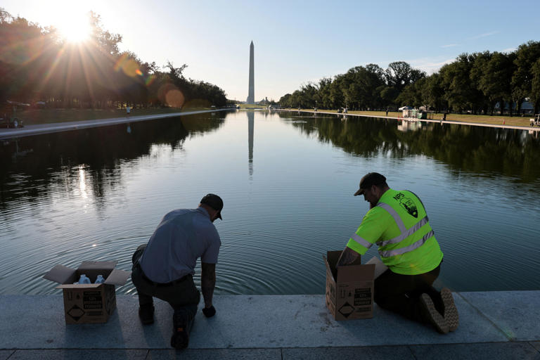 Workers bleach reflecting pool after it turns green